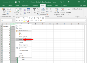 Dummy-Coded Regression in Excel – Dr. Matt C. Howard